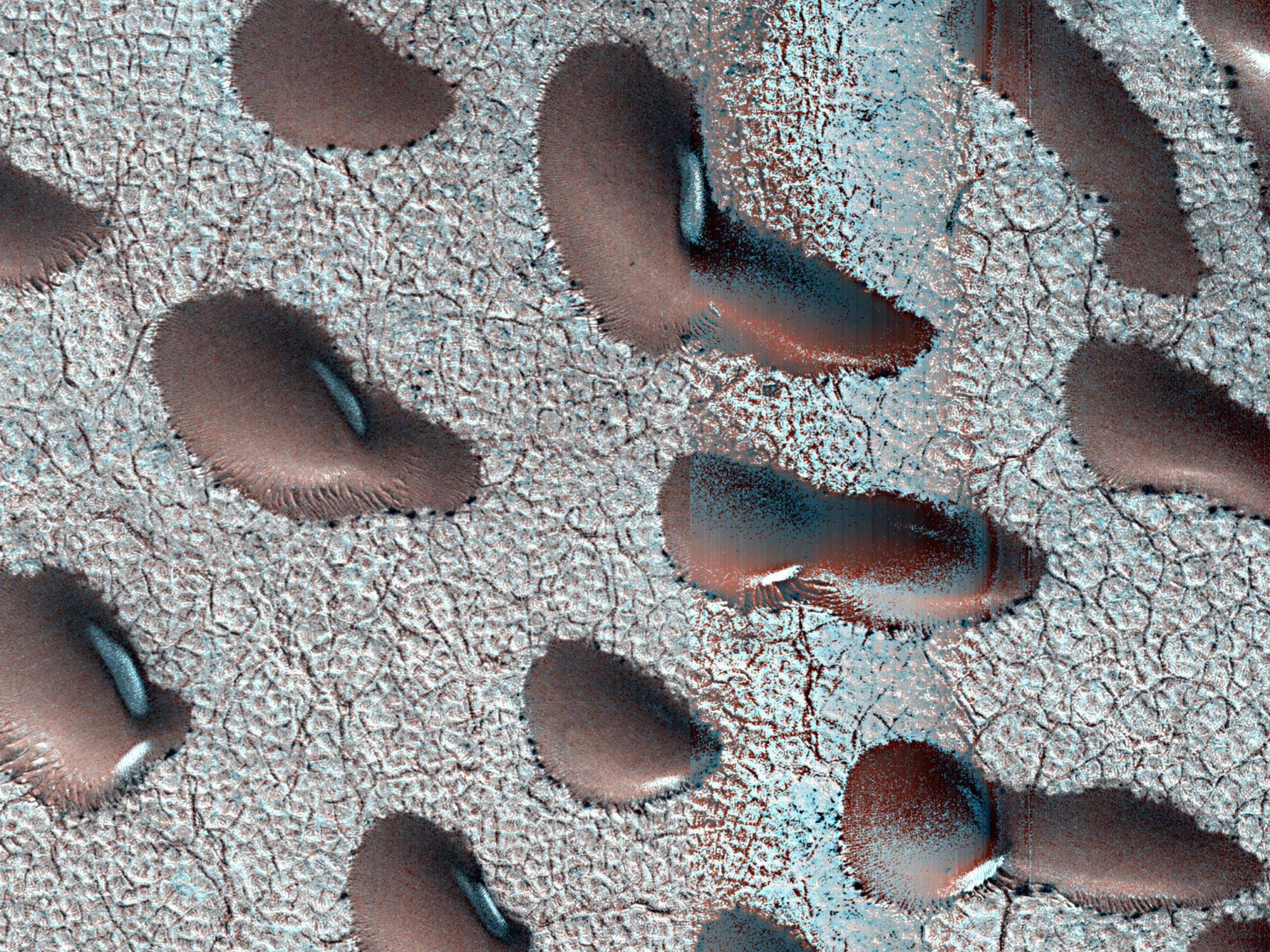 Mars Awakens for the New Year: Explosive Springs and Wandering Dunes