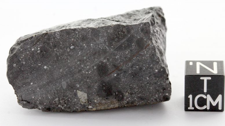 Scientists Discover Evidence of Water in Martian Meteorite