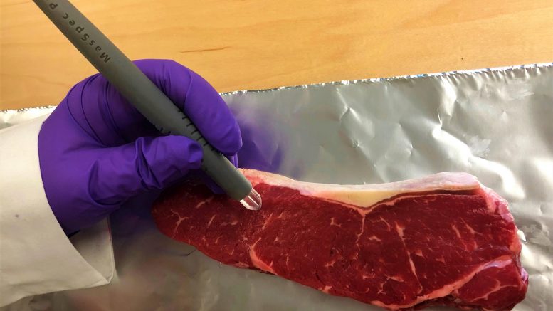 Accurate Cancer Detection During Surgery with 'MasSpec Pen'