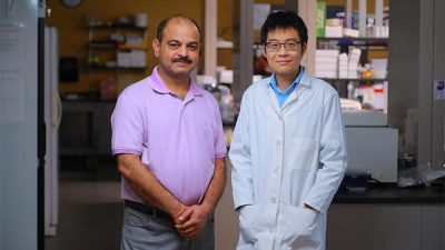 Diets High in Processed Fiber May Increase Cancer Risk