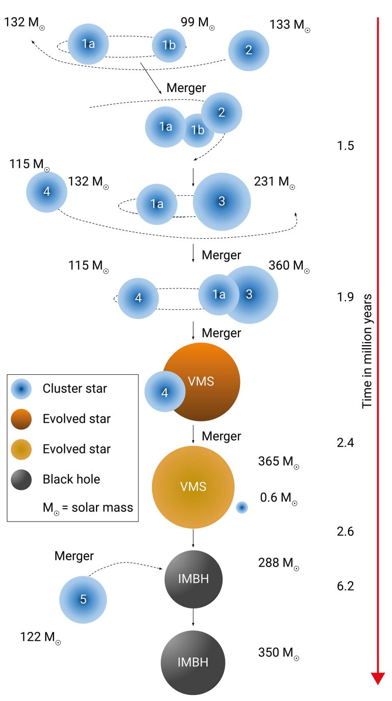 Galactic Shadows: The Elusive Trail of Intermediate Black Holes