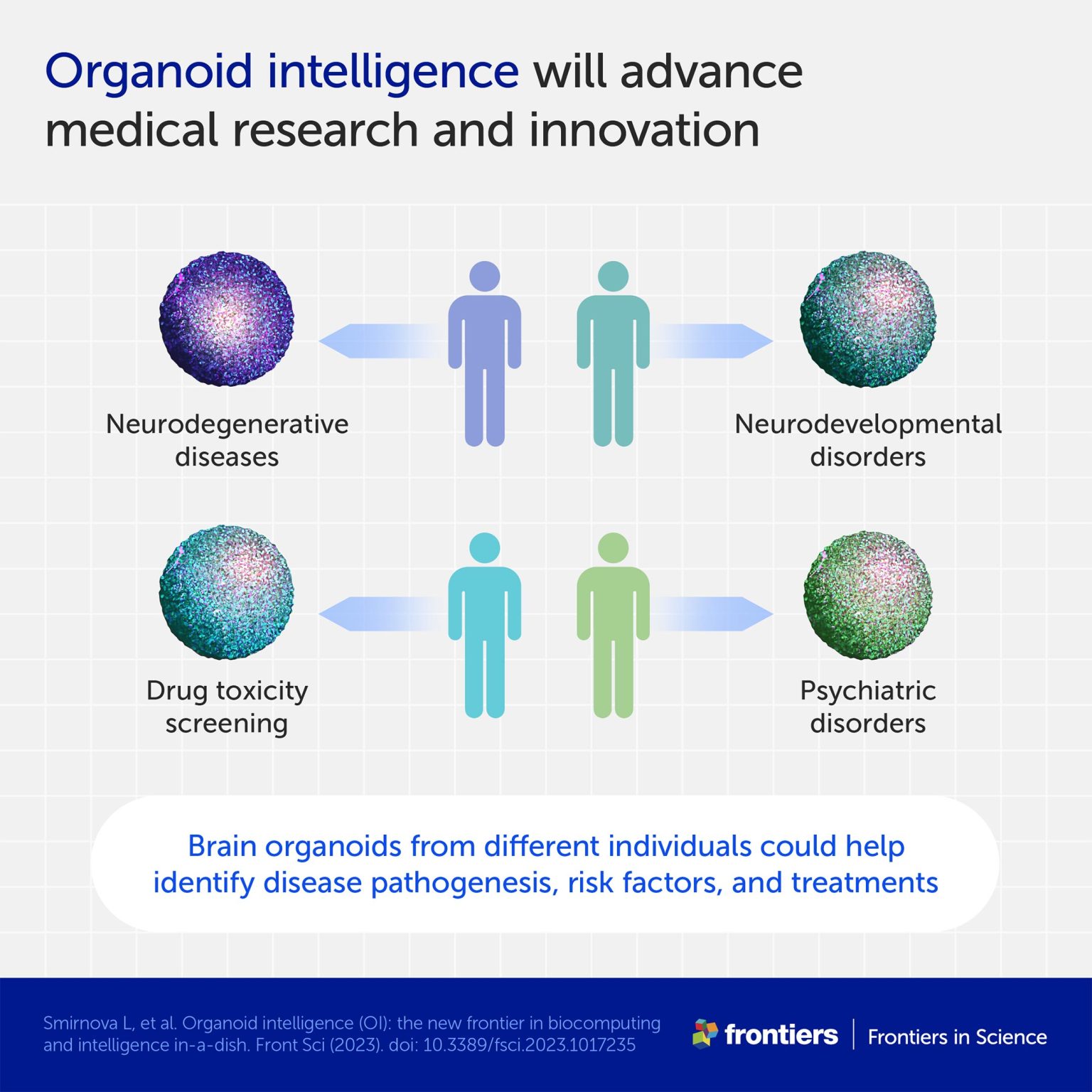 “Organoid Intelligence” – Revolutionary Biocomputers Powered by Human ...