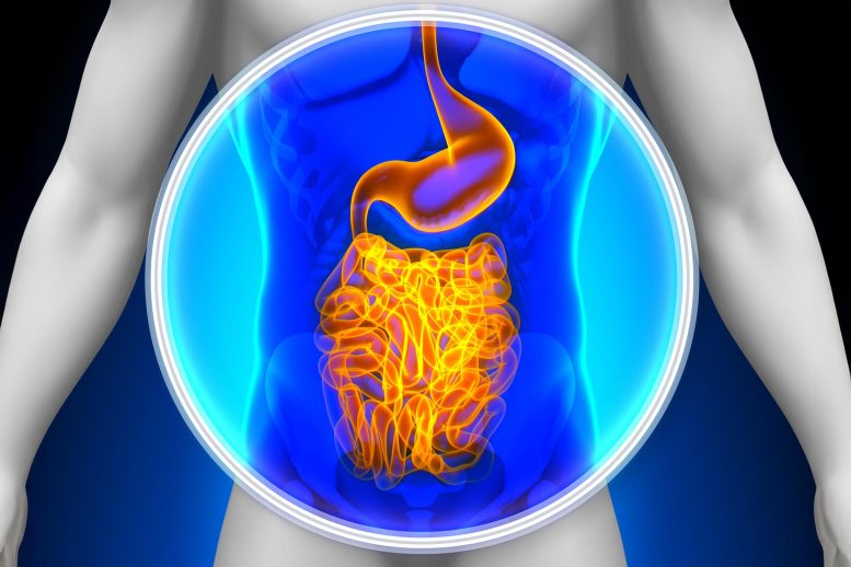 Gut Bacteria May Be Hijacking Your Medications