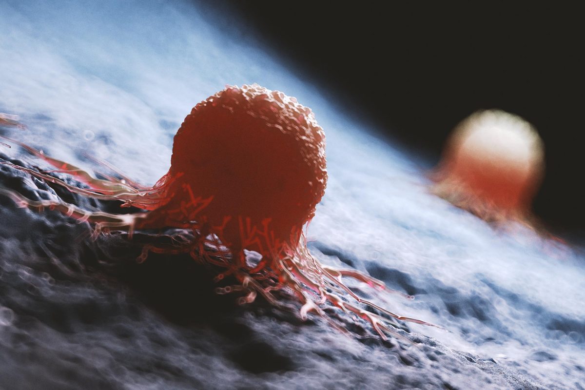 Starving Cancer: New Diet Slows Growth of Deadliest Brain Tumors in Mice