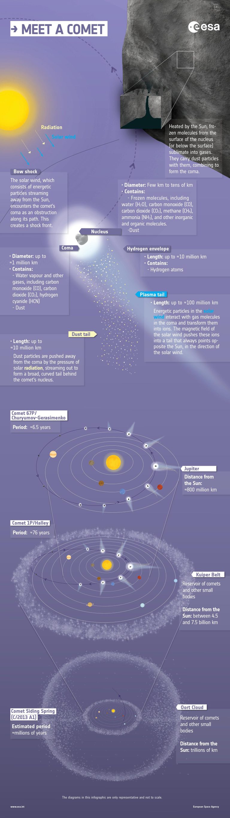 Infographic: Anatomy of a Comet