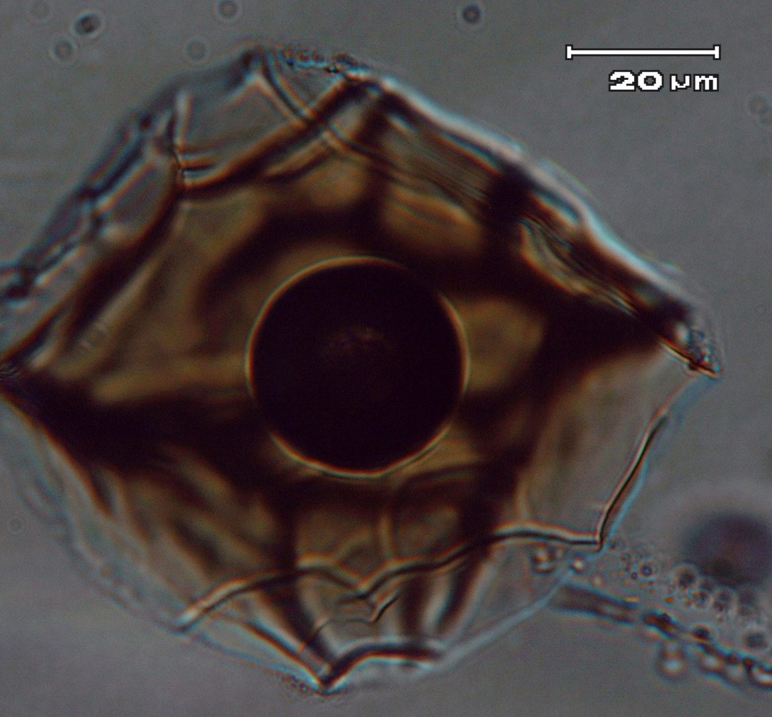Explosive Past of Arizona’s Sunset Crater Eruption May Inform Threats ...