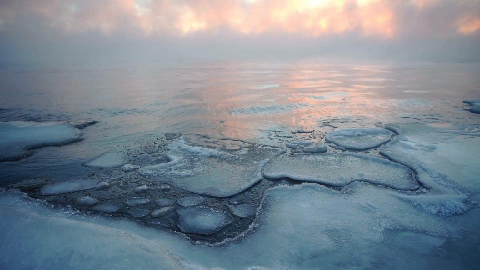 NASA Sounds Alarm As Sea Ice Reaches Historic Lows Globally