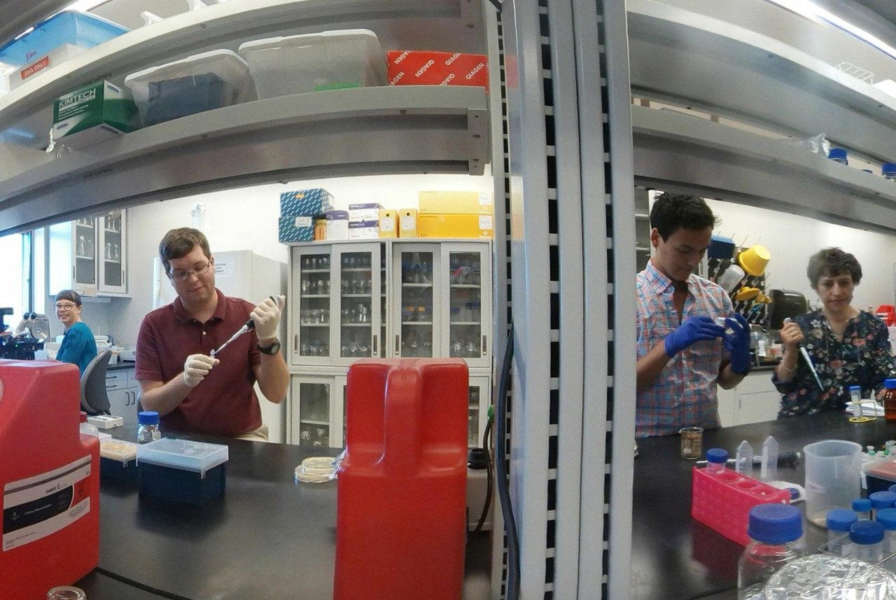 Surprising Findings – Scientists Discover Super Low-Noise Genes