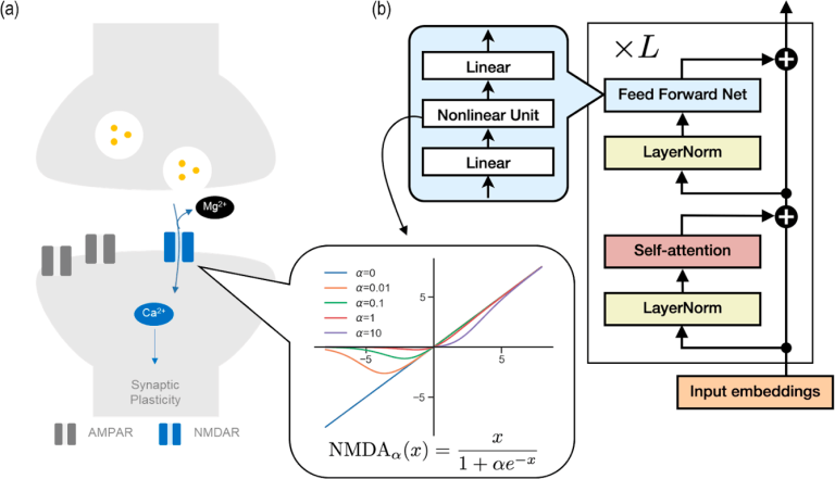 In a Striking Discovery, AI Shows Human-Like Memory Formation