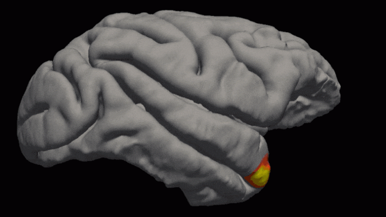 Scientists Unveil How Our Memories Are Stored: The Format of Working Memory