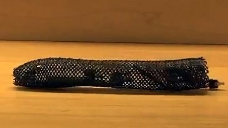 Harvard Engineers Create a 3D Printed Autonomous Robot