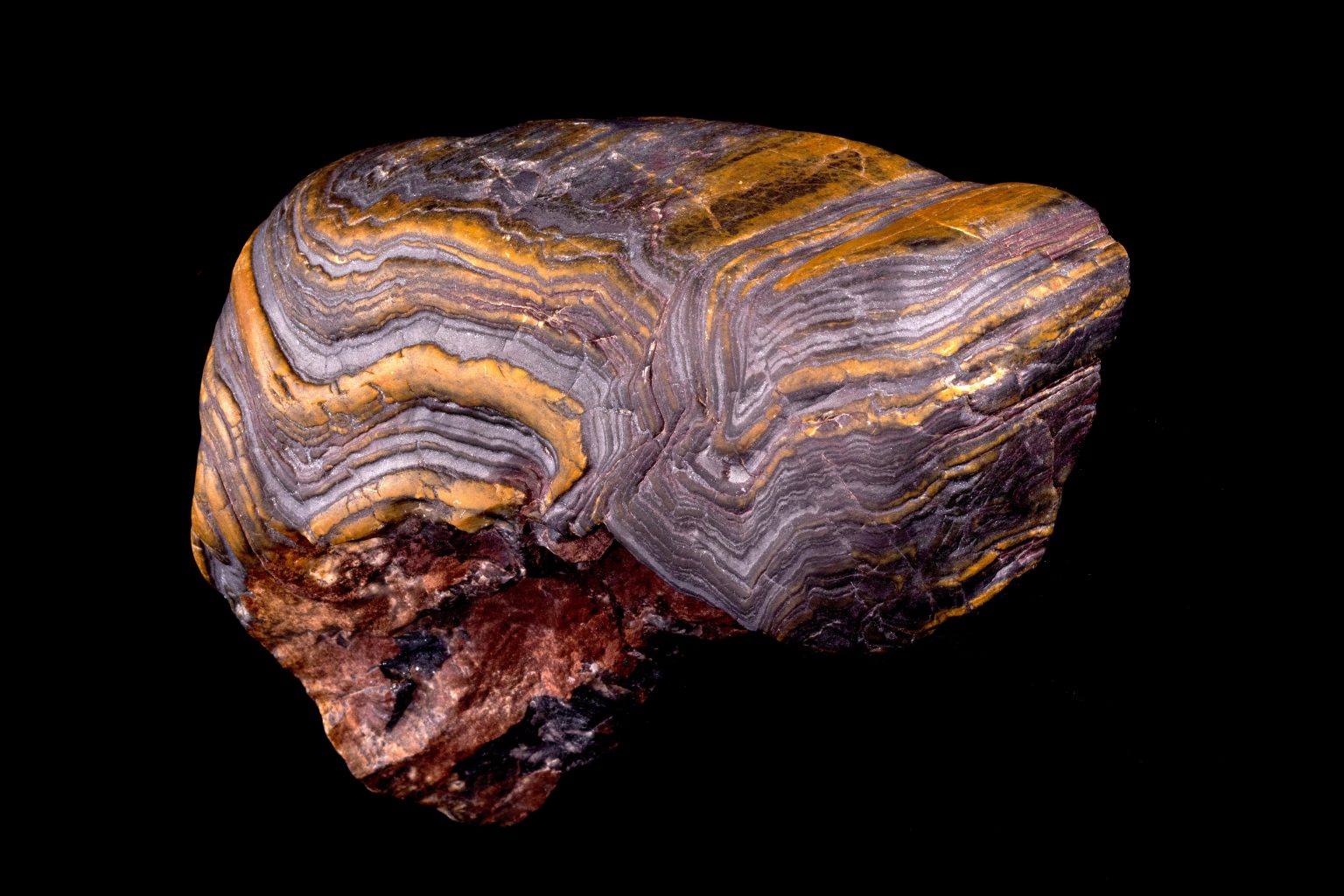 The Unseen Spark: How Ancient Microorganisms Helped Cause Massive ...