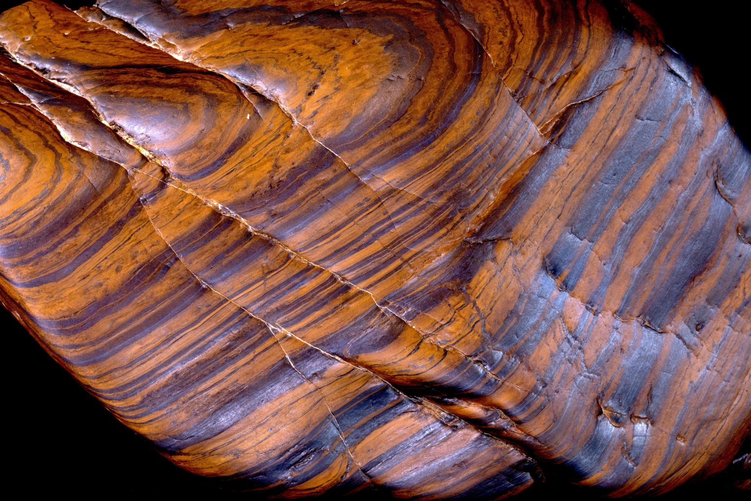 The Unseen Spark: How Ancient Microorganisms Helped Cause Massive ...