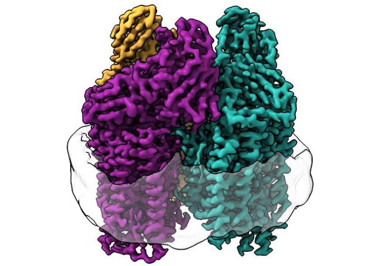 Methane-Eating Bacteria Convert Potent Greenhouse Gas Into Usable Fuel