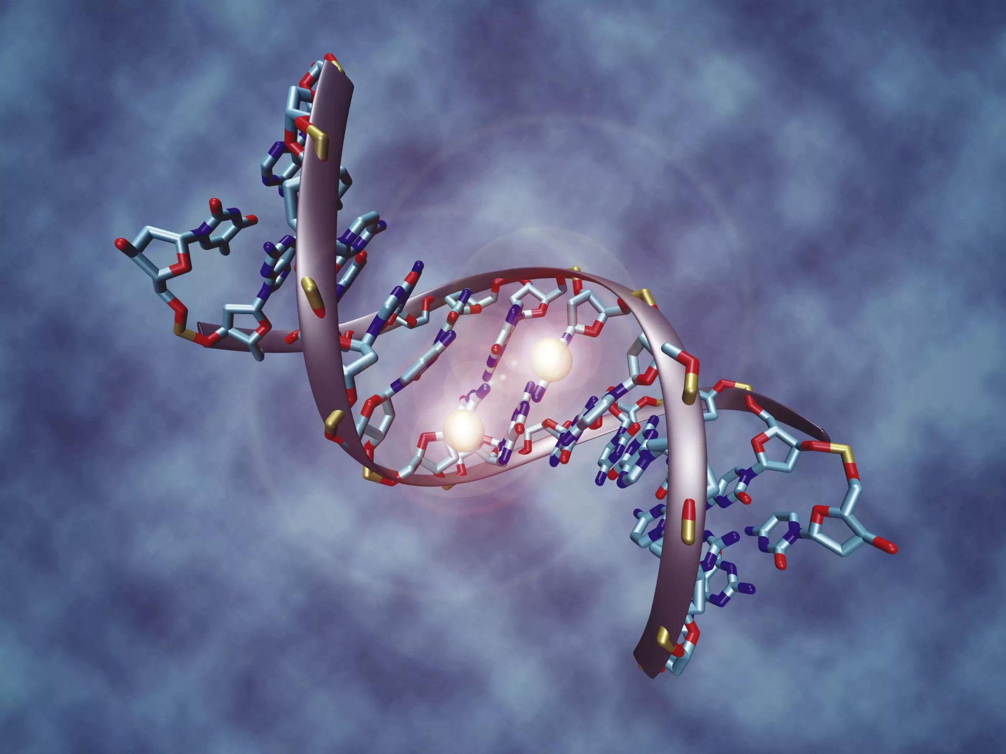 Researchers Use Bioinformatics and Epigenetics to Aid Cancer Research