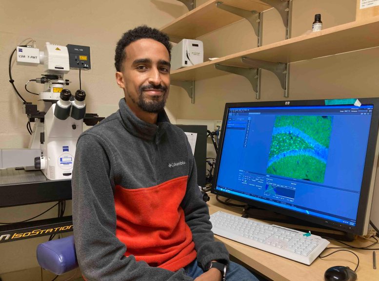 Scientists Discover Source of Jet Lag’s Harmful Health Consequences ...