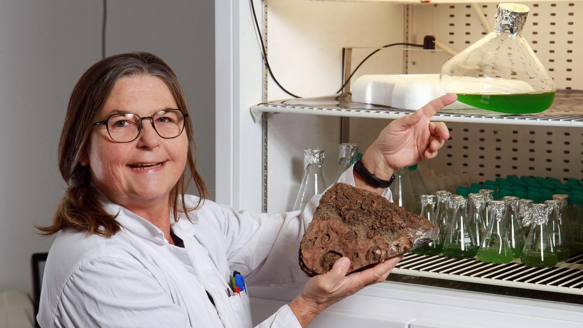 Scientists Reveal a Game-Changer in the Evolution of Life on Earth