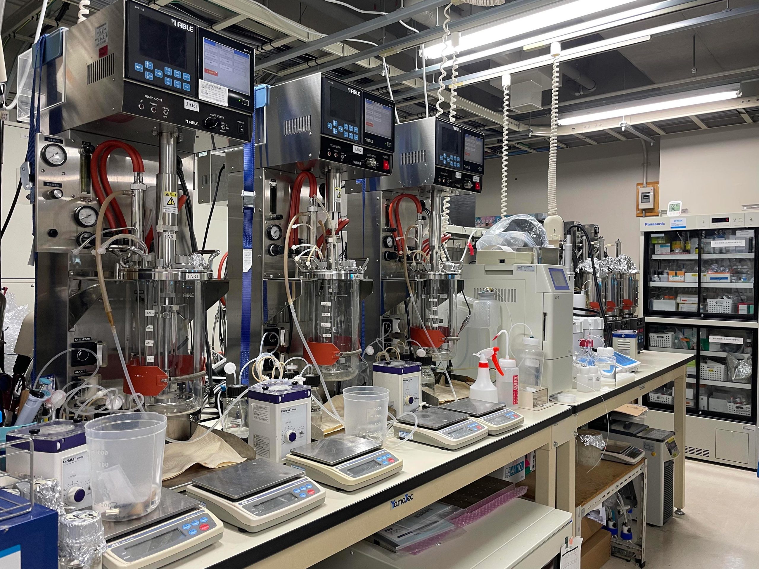 Harnessing Nature’s Power: Yeast Becomes a Factory for Herbal Medicine