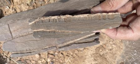Baffling Scientists: “Strange” Million-Year-Old Rock Tunnels Found in ...