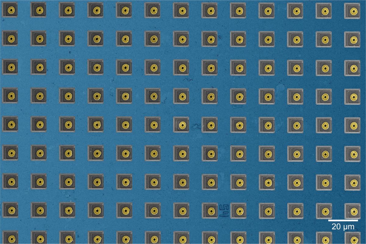 Harvard’s Tiny Chip Unveils 70,000 Hidden Brain Connections