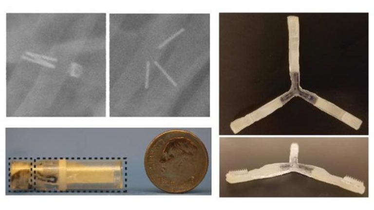 Painless Tattoos Developed – Easy, Do-It-Yourself Microneedle Patches