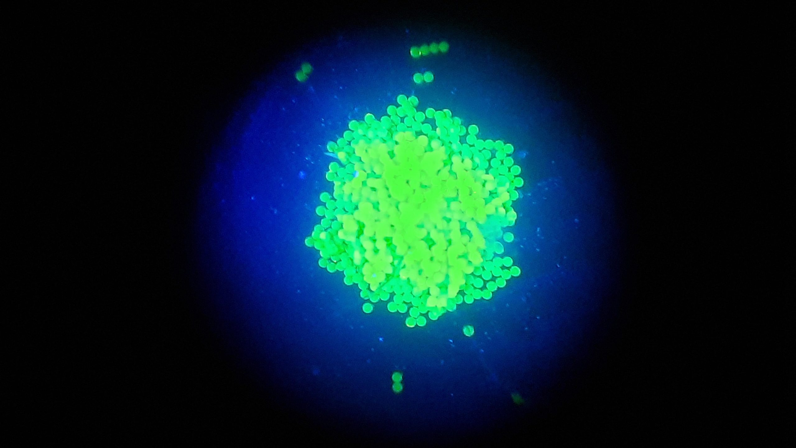 He Tried to Levitate a Diamond – What He Discovered Could Change ...