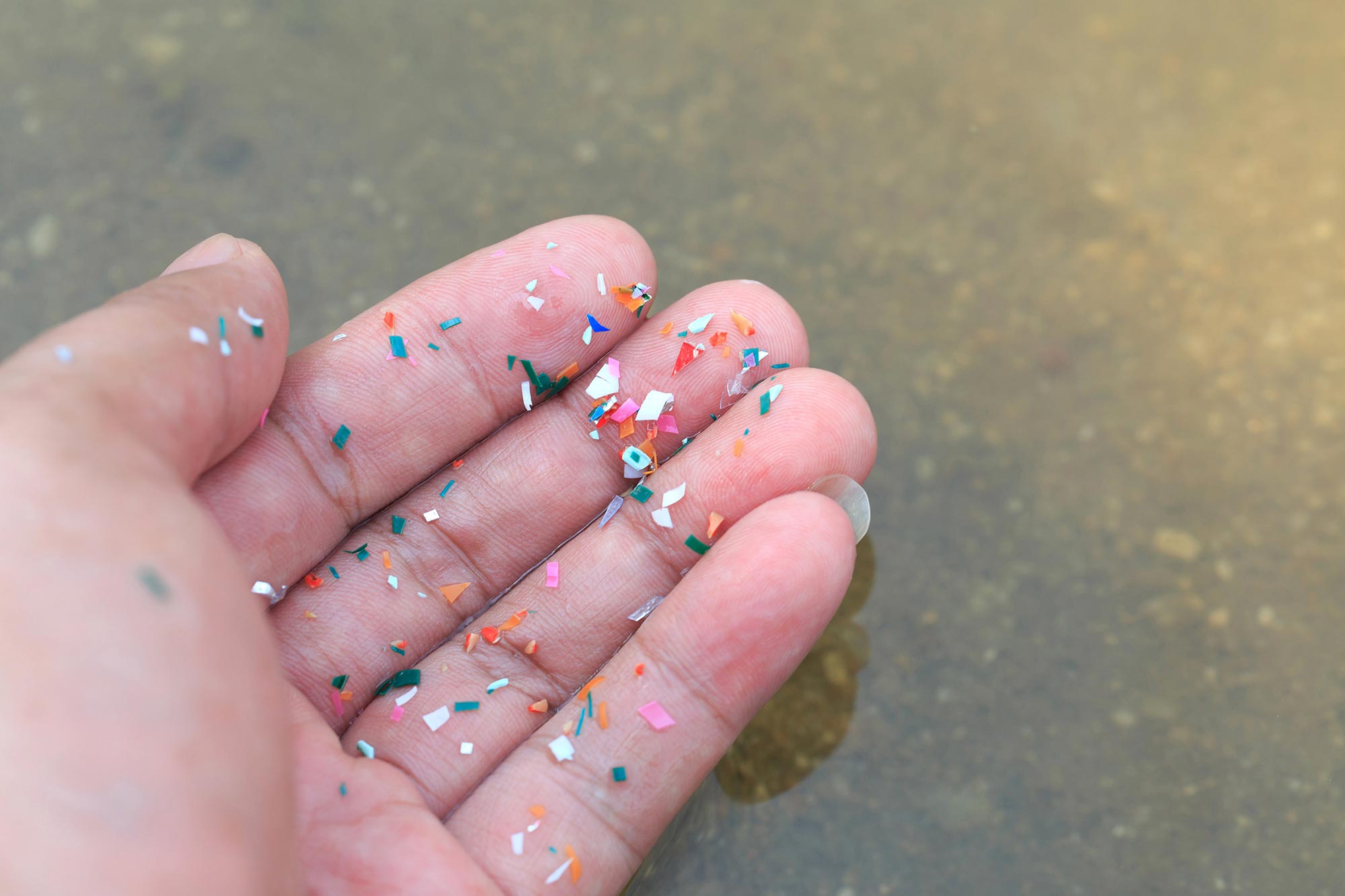New Study Reveals Alarming Connection Between Microplastics and ...