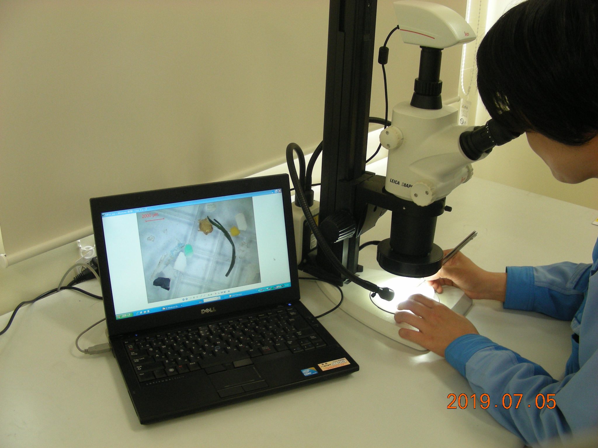 How Old Is That Microplastic? A New Way To Unveil the Age of Oceanic ...