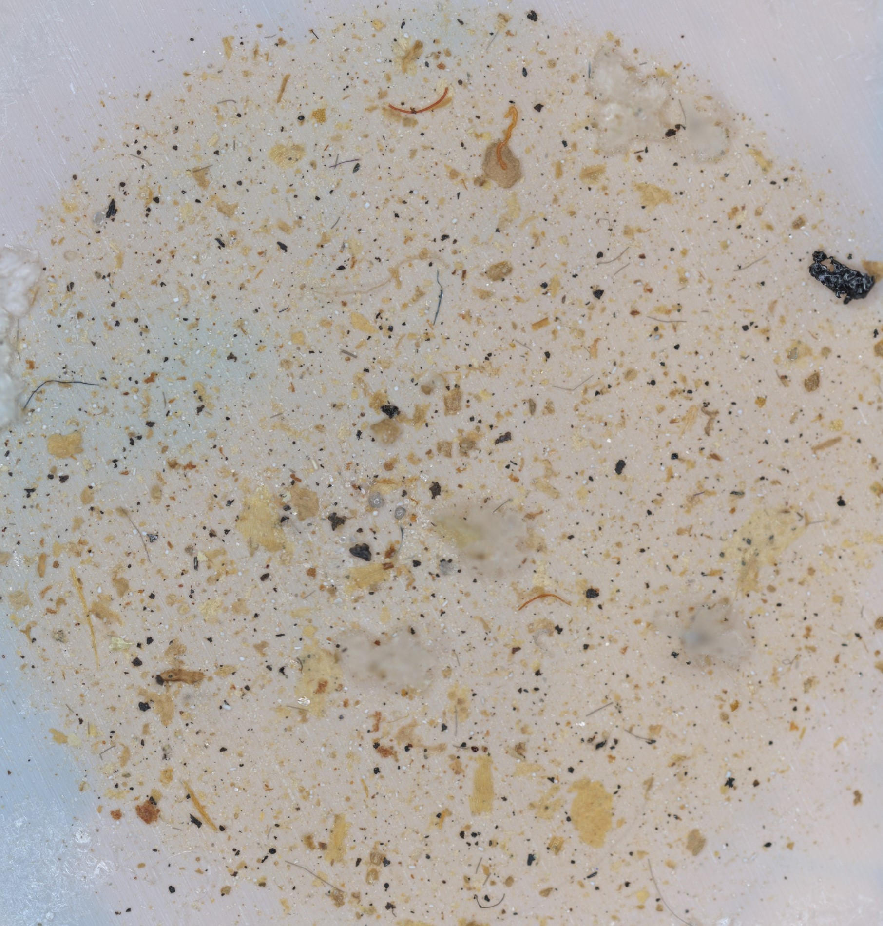 Superbug Menace: Farming’s Hidden Plastic Crisis Threatening Our Food ...