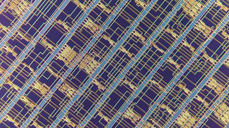 First Integrated Chemical Circuits Developed Using Ion Transistors