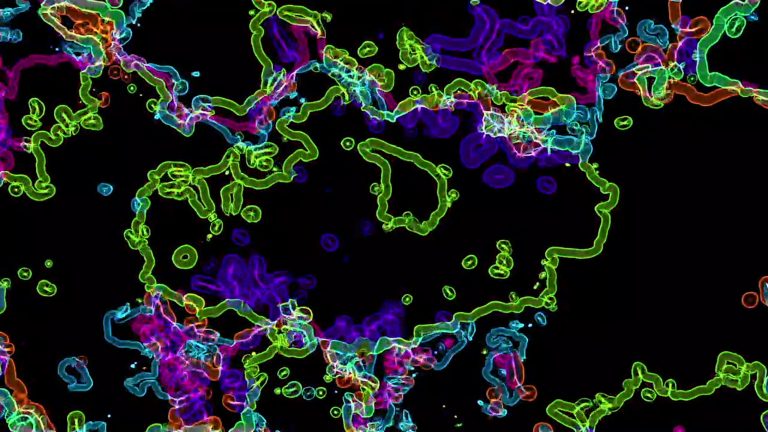 Newly Discovered Protein Connected to Significant Increase in Risk of ...