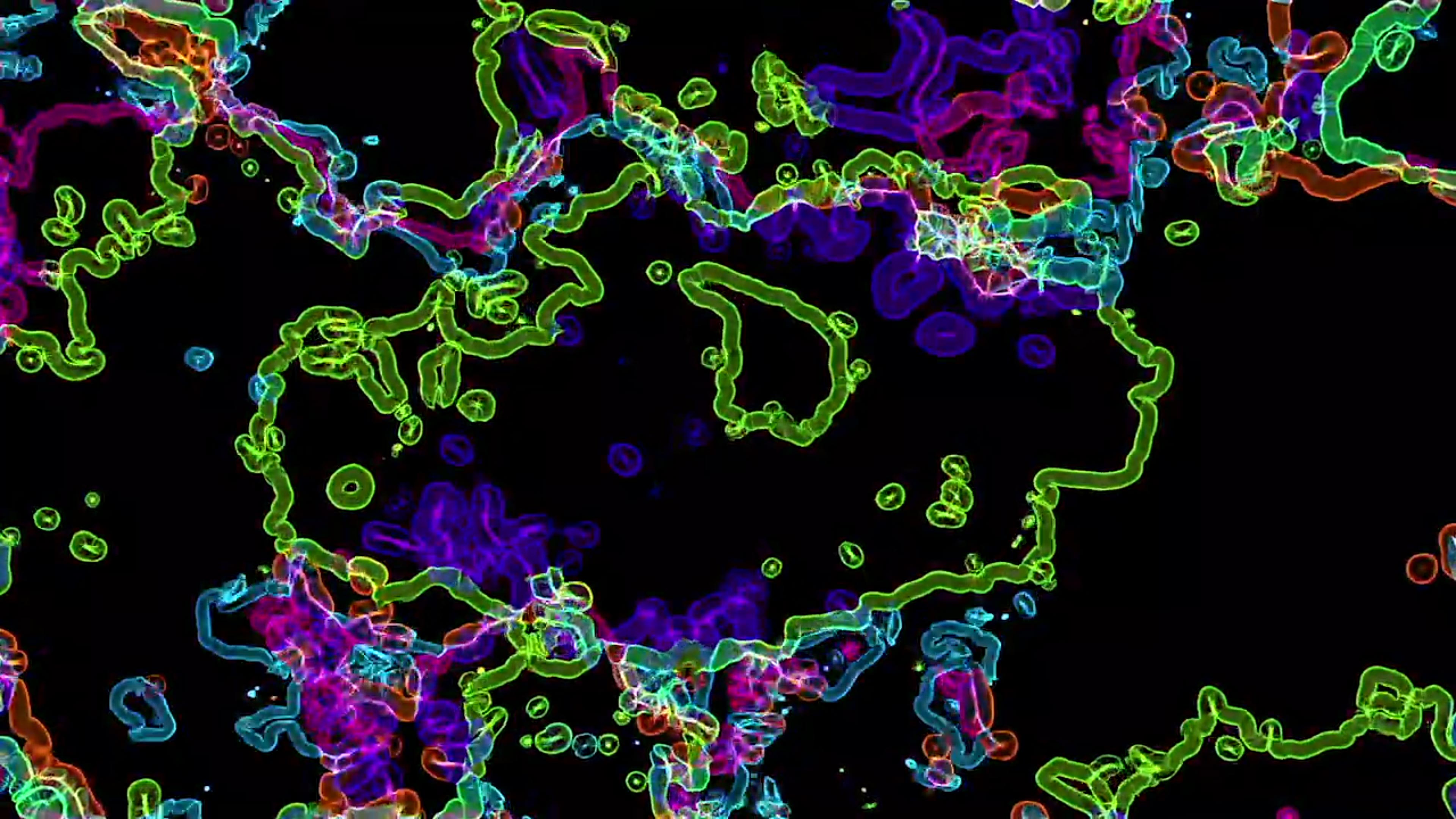 Major Implications for Human Disease Uncovered in Mysterious Microproteins