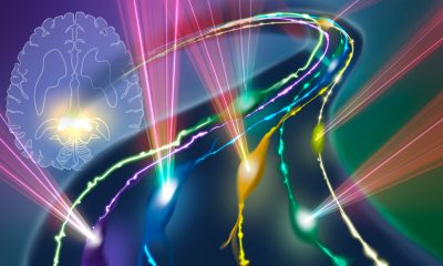 New “Brain Surveillance Camera” Tracks Cancer’s Deadliest Invaders in ...