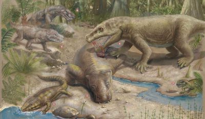 How Life on Land Recovered After “The Great Dying” Mass Extinction Event