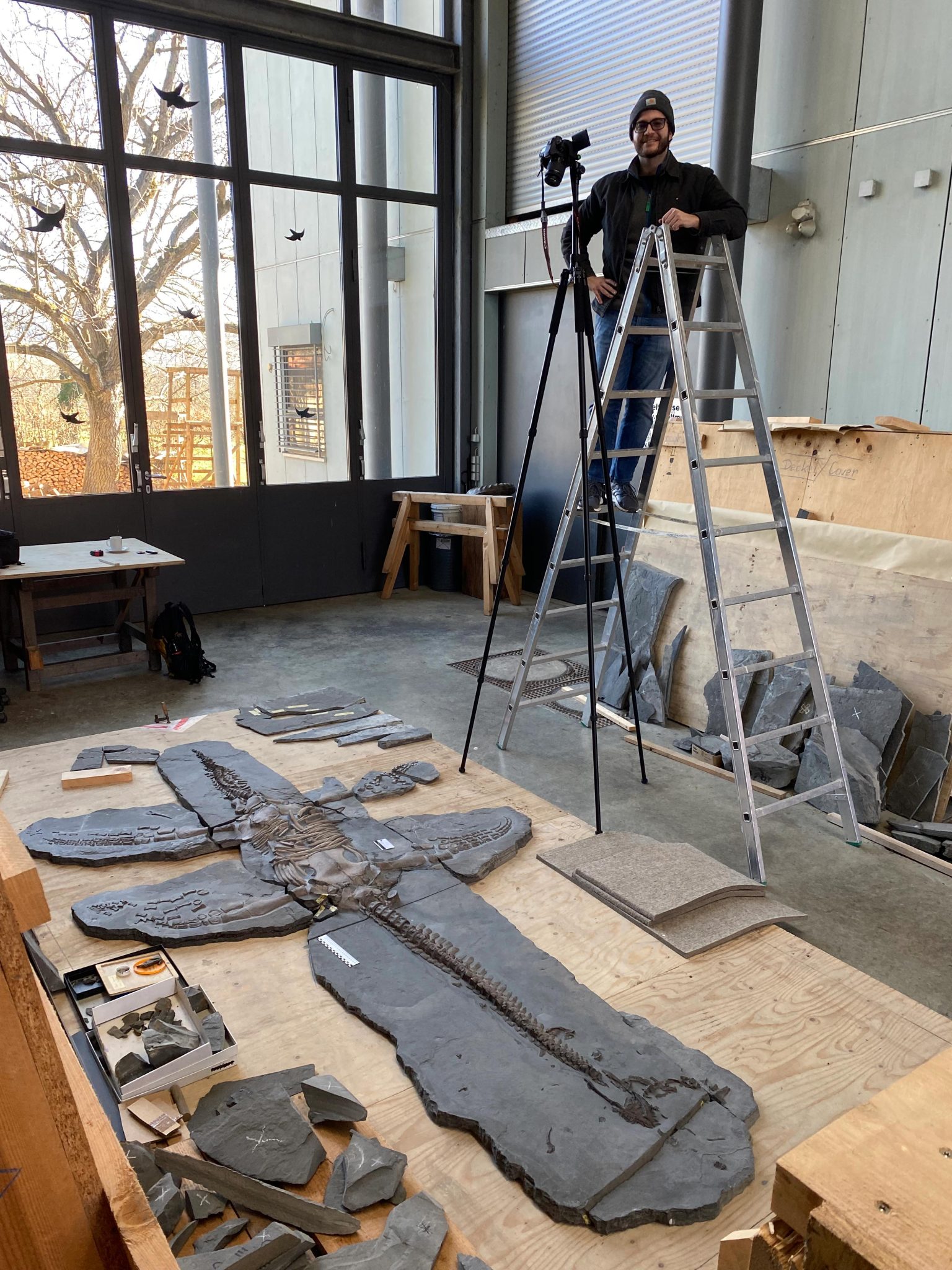 Shocking Scientists: Fossilized Plesiosaur Skin Cells Discovered After ...