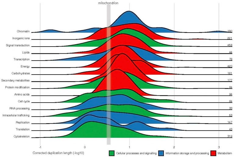Timeline Unveiled for One of the Most Important and Puzzling Events in ...