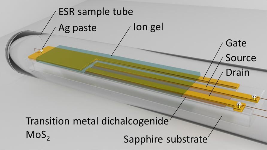 Spintronic Computing Breakthrough: Taking 2D Materials for a Spin