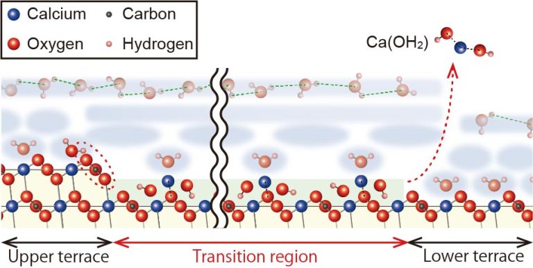 Atomic Force Microscopy Confirms Long-Disputed Hydration Layer in ...