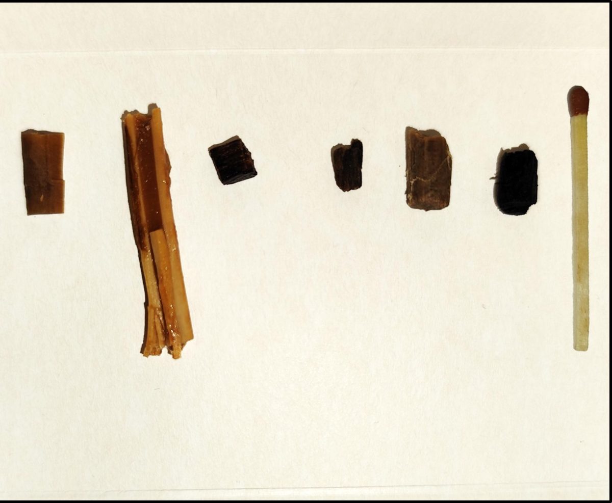 Unlocking Roman Secrets: How Modern Science Analyzes Ancient Wood