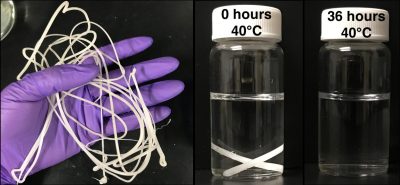 Polymer-Eating Enzymes Make “Biodegradable” Plastics Truly Compostable