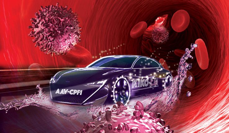 Scientists Develop Modular Approach to Engineering Immune Cells