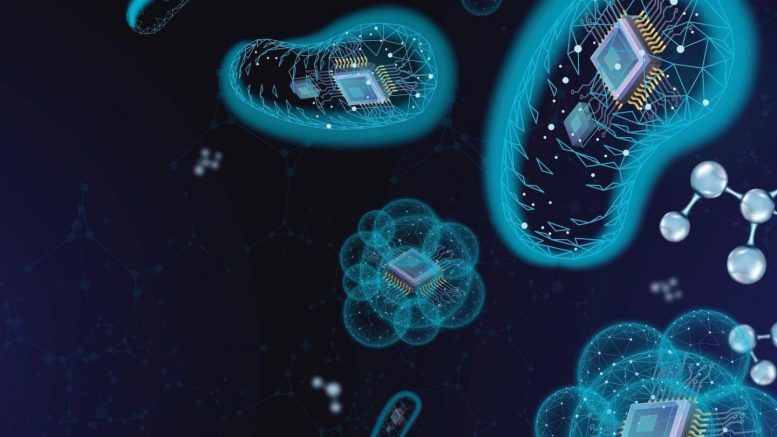 A Matchmaker for Microbiomes – Identifying Relationships of Microbes ...