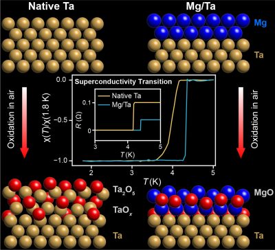 Breaking Barriers in Quantum Research: Magnesium-Coated Tantalum Unveiled