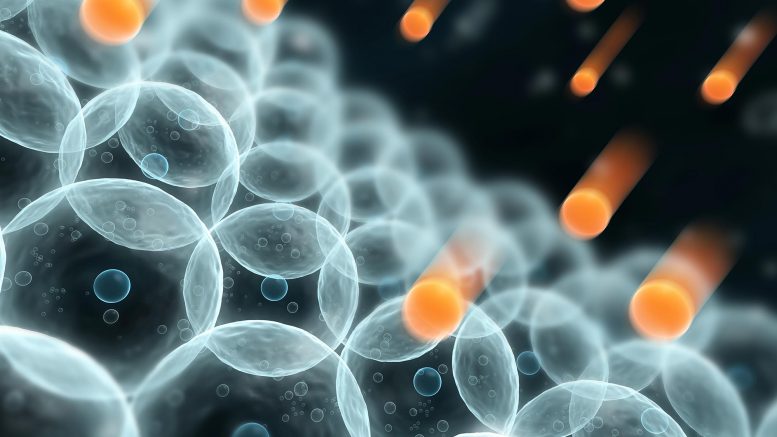 Artificial Cells Engineered to Act More Like the Real Thing