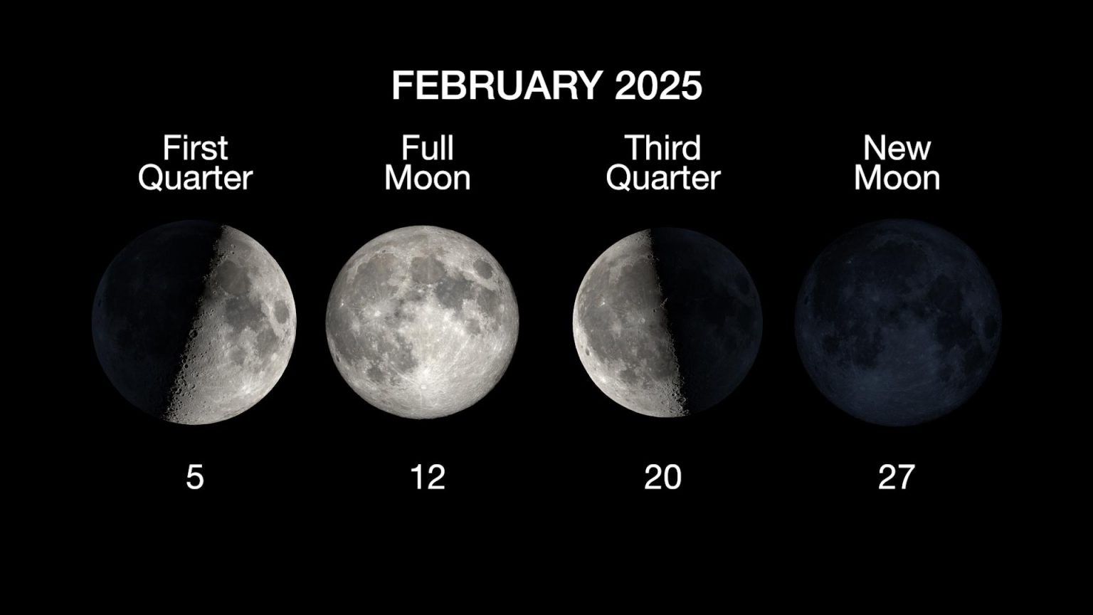 Bright Planets, Bold Encounters: February’s Sky Comes Alive