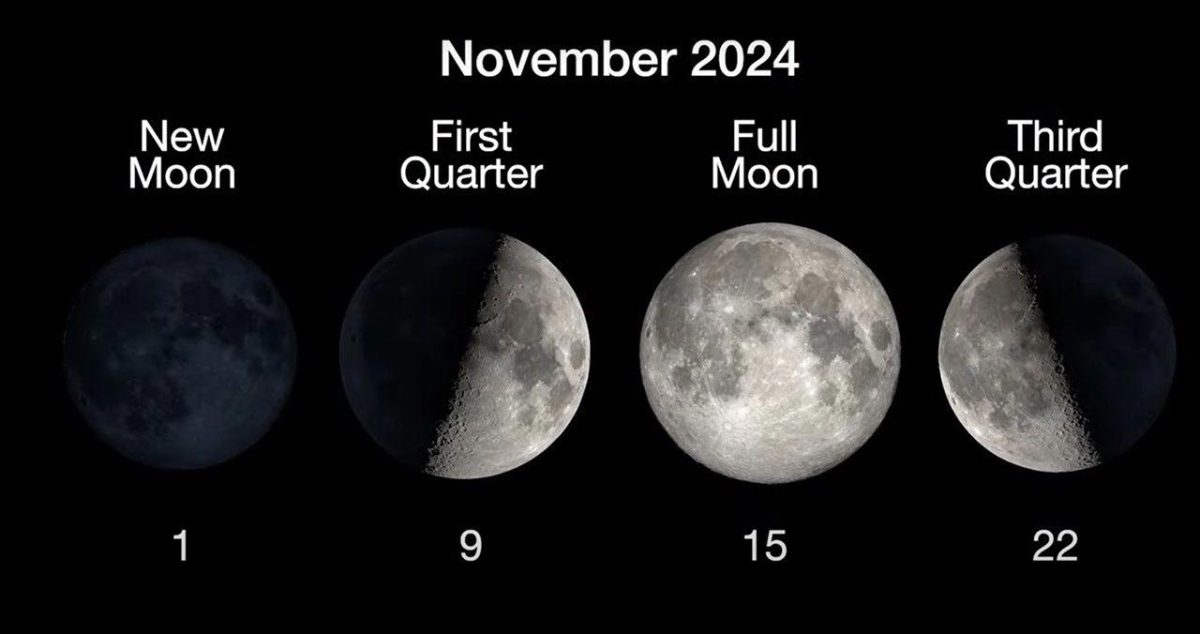 Don’t Miss November’s Celestial Spectacles: Rare Occultations, Planetary Alignments, and Hidden ...
