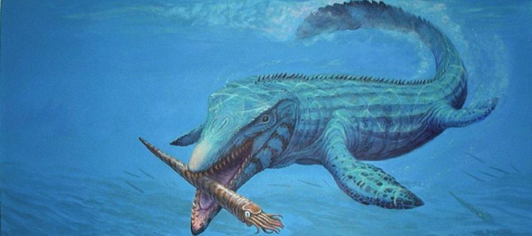 Newly Identified Mosasaur Was Enormous Fish-Hunting Monster