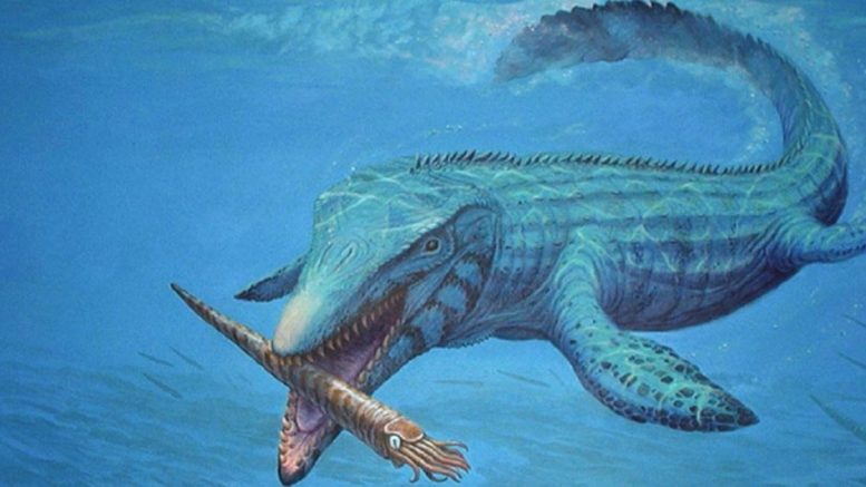 Evolved to Strike Terror: Paleontologists Identify New Species of Mosasaur