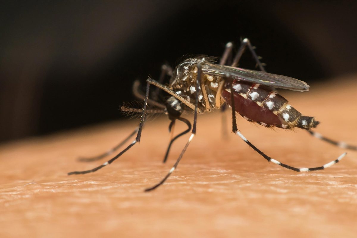 Scientists Discover Bacteria That Could Help Us Win the Fight Against ...