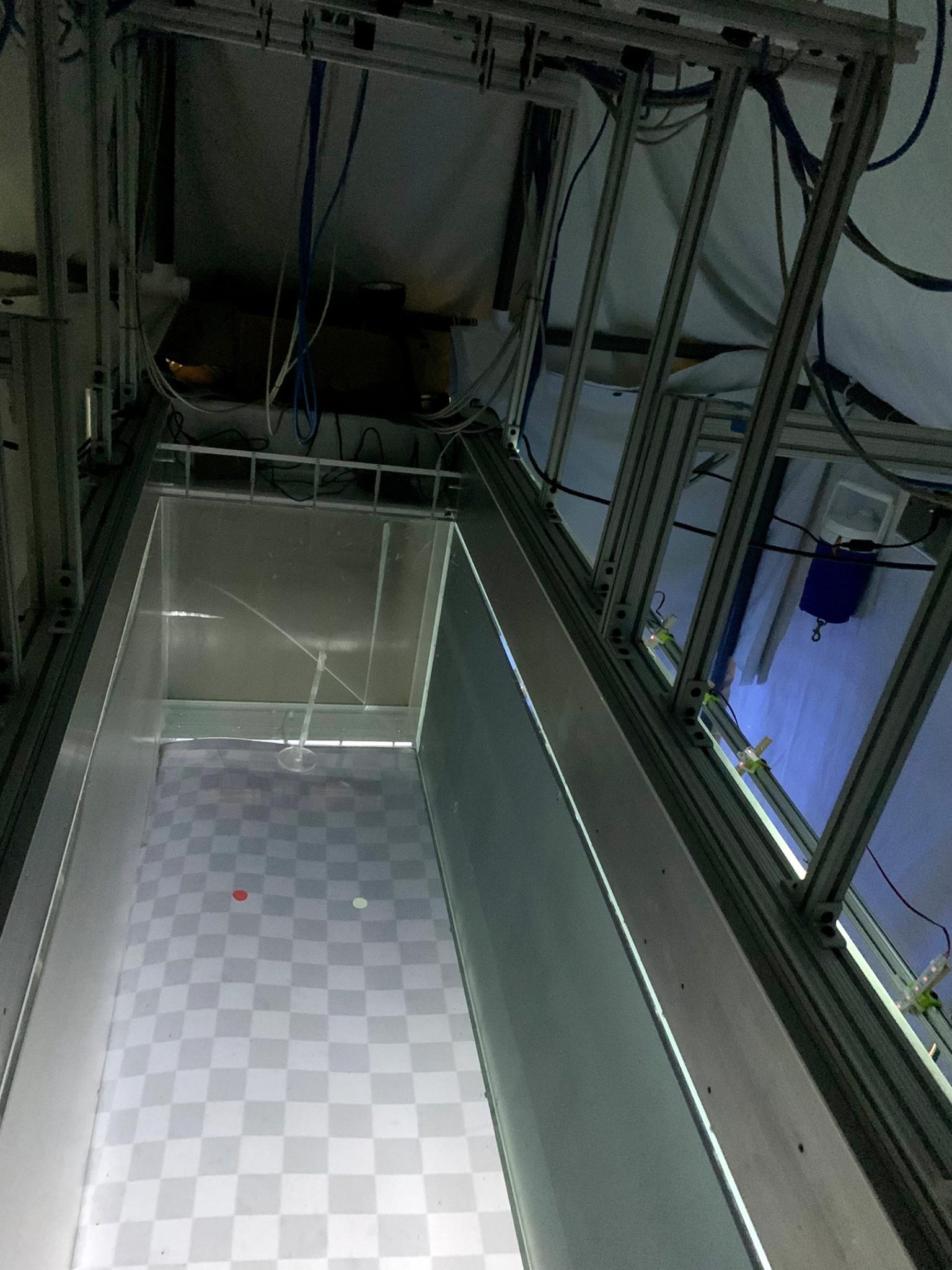 New Mosquito Vision Discovery Could Help You Hide From These Disease ...